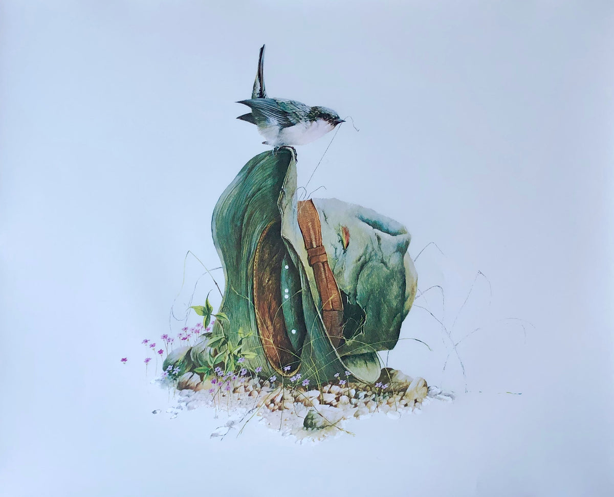 "Grey Warbler" - Bruce Harvey – Fine Art Online Ltd