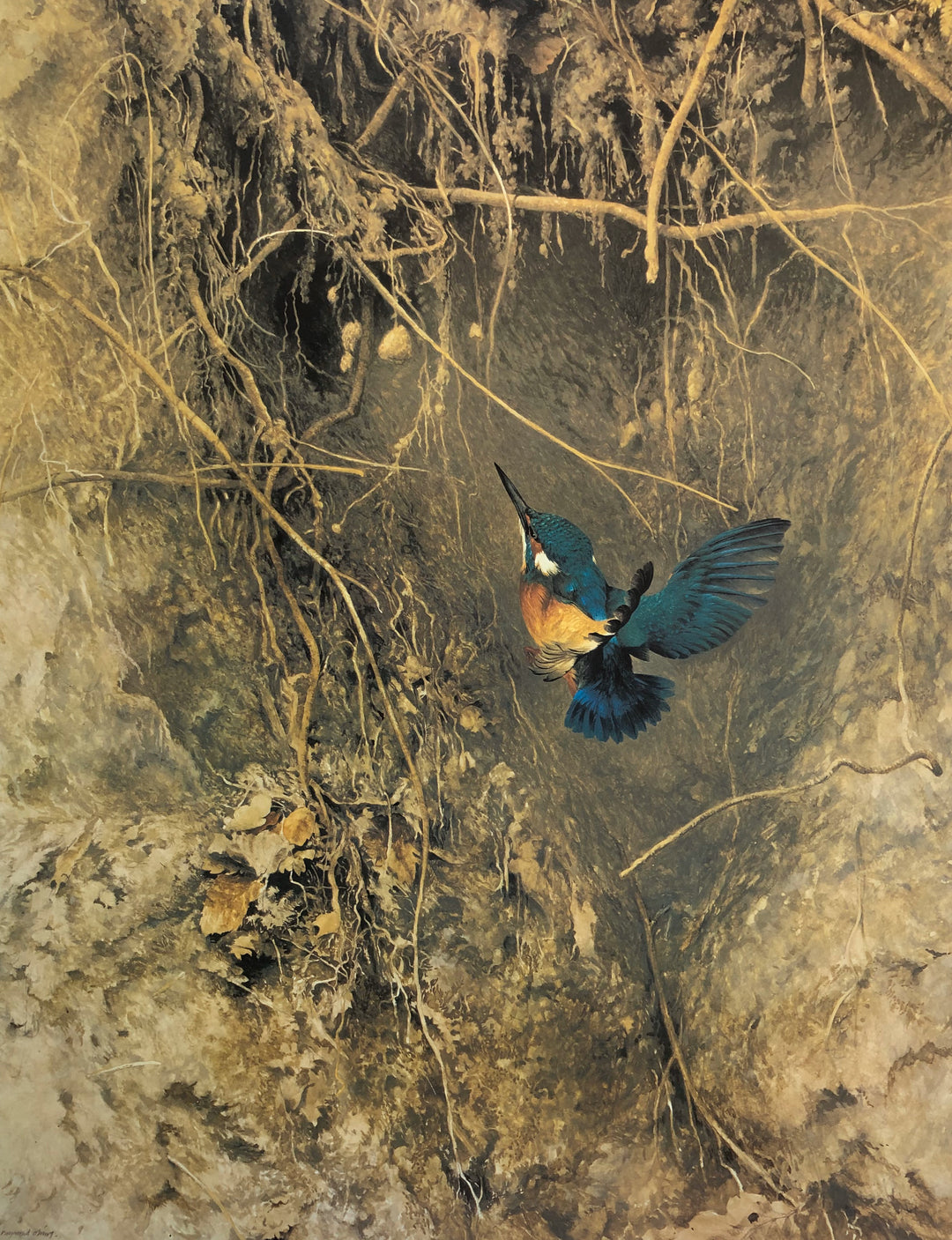 "Kingfisher" - Raymond Ching – Fine Art Online Ltd